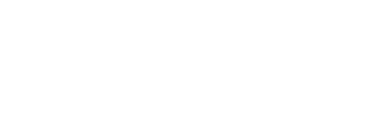 Homepage – The Humanities in Public Life